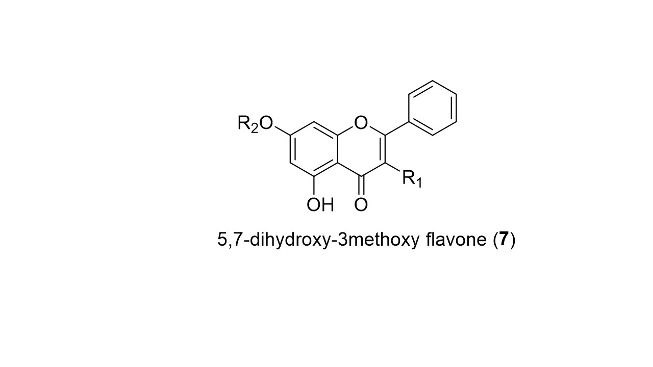 อนุพันธ์ของสาร 5,7-dihydroxy-3-methoxy Flavone - ศูนย์ทรัพย์สินทางปัญญา